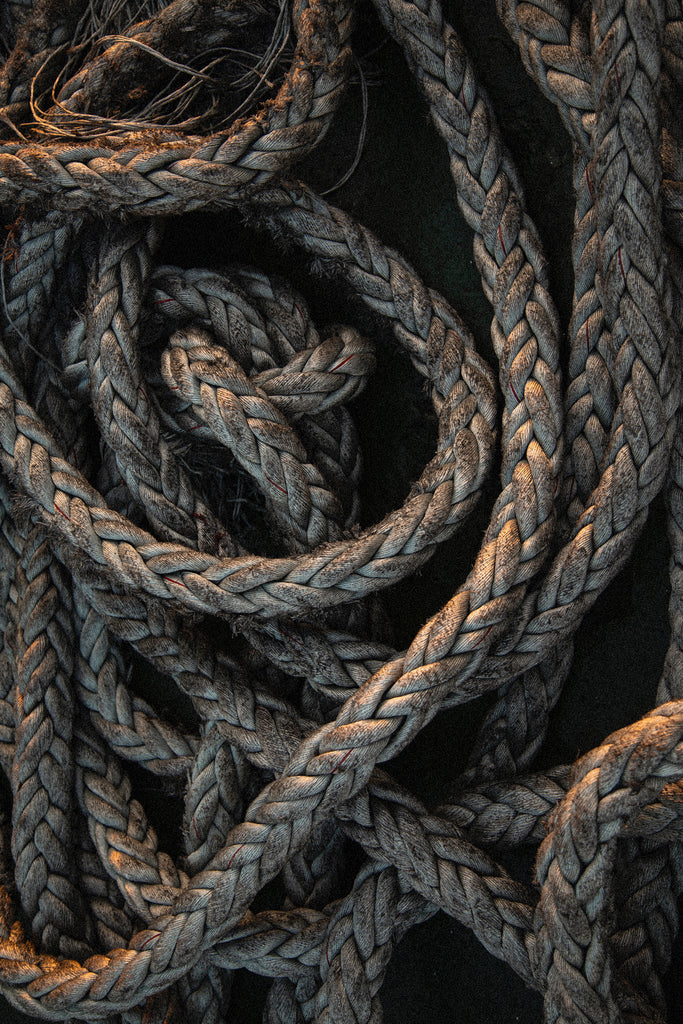 Campaign | Travel Inspired Arrivals | búl